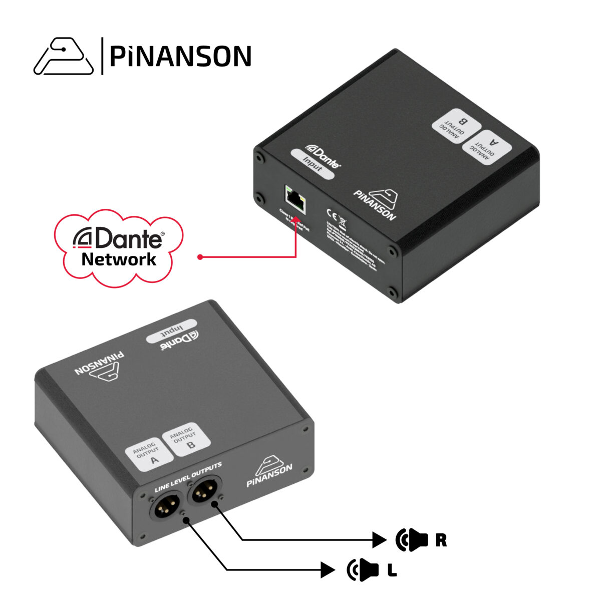 Dante Box - Pinanson